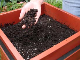 Harvesting Your Vermicompost